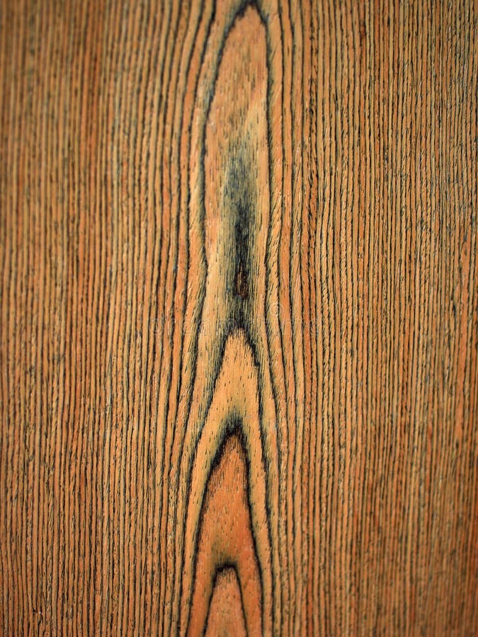 Seamless Oak Laminate Parquet Floor Stock Photo - Image of dark ...