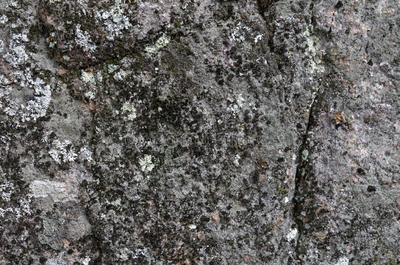 Seamless Texture Dirty Rocky Ground Stock Photos - Free & Royalty-Free Stock Photos from Dreamstime