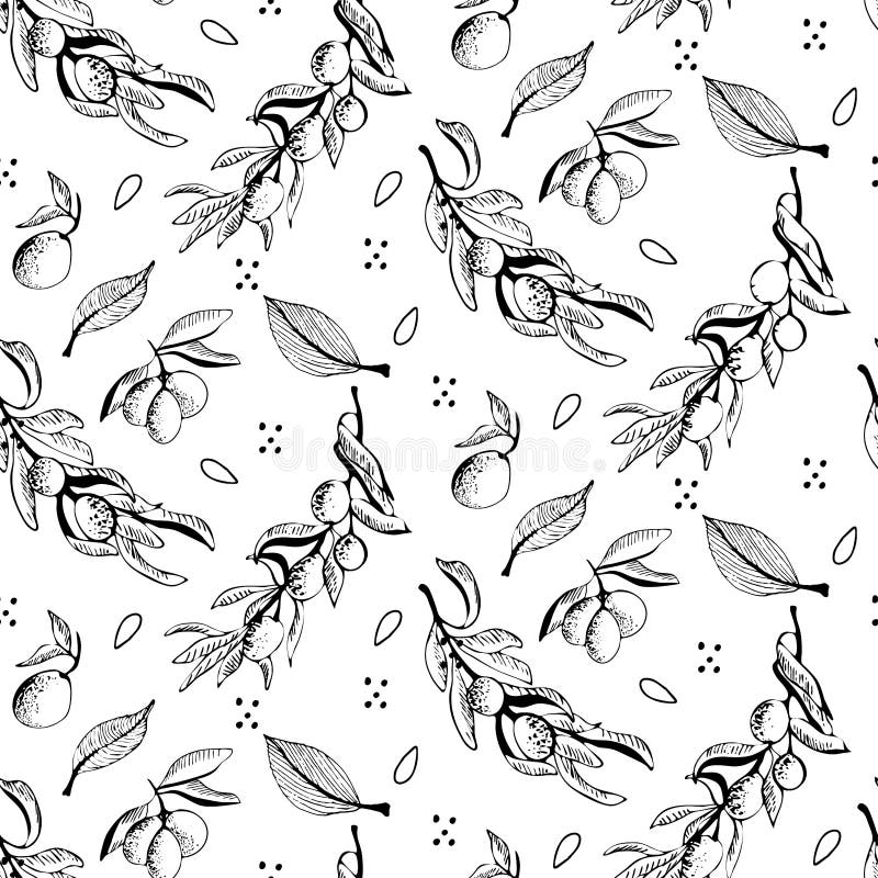 Seamless Olive Branch Pattern. Hand Drawn Vector Illustration Stock ...