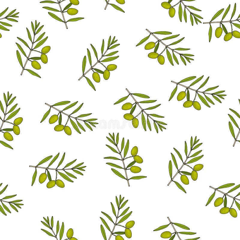 Seamless Olive Branch Pattern Stock Illustration - Illustration of ...