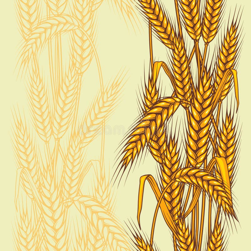 Seamless Pattern Abstract with Wheat Stock Vector - Illustration of ...