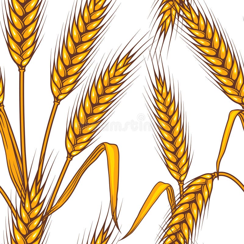 Seamless Pattern Abstract with Wheat Stock Vector - Illustration of ...