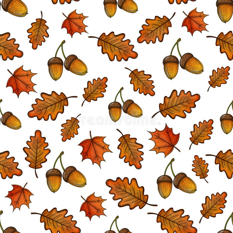 Seamless Pattern with Acorns Stock Vector - Illustration of colorful ...