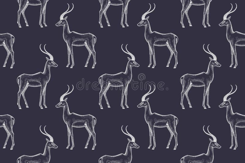 Seamless Pattern with African Antelopes Stock Vector - Illustration of ...
