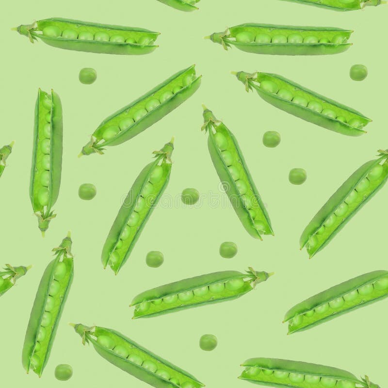 Seamless Pattern of Ajar Pea Pods, Inside Which Peas are Visible Stock ...