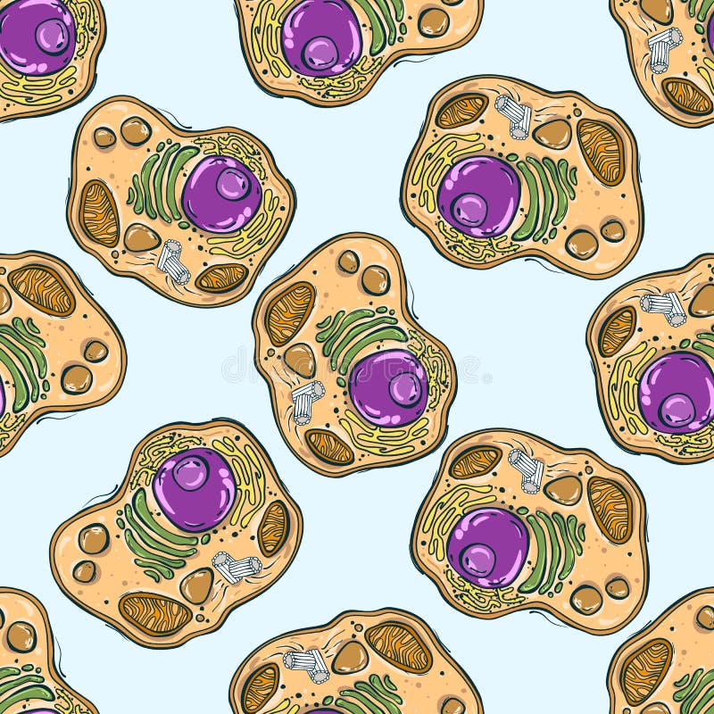 Seamless Pattern with Animal Cells Stock Vector - Illustration of ...