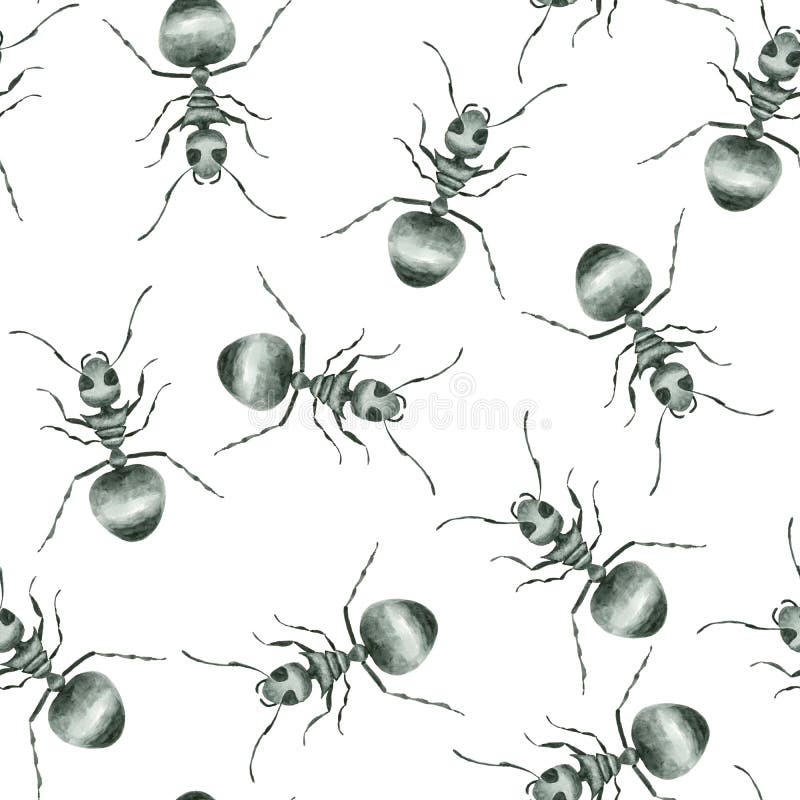 Seamless pattern from ant stock illustration. Illustration of forest ...