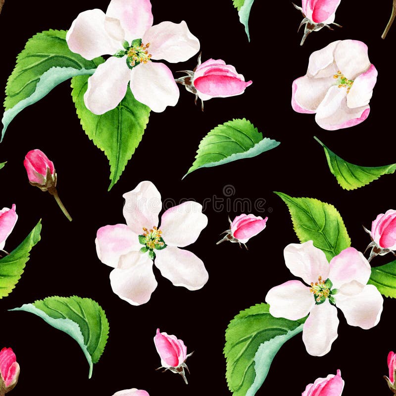 Seamless Pattern with Apple Tree Floral Elements. Watercolor ...