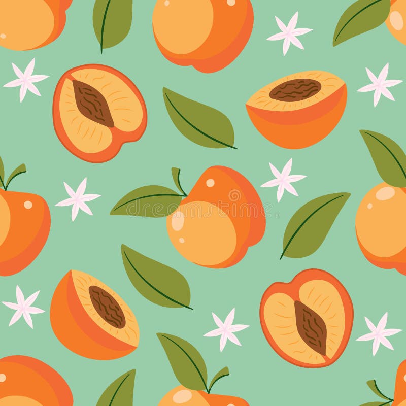 Seamless Pattern with Apricot. Stock Illustration - Illustration of ...