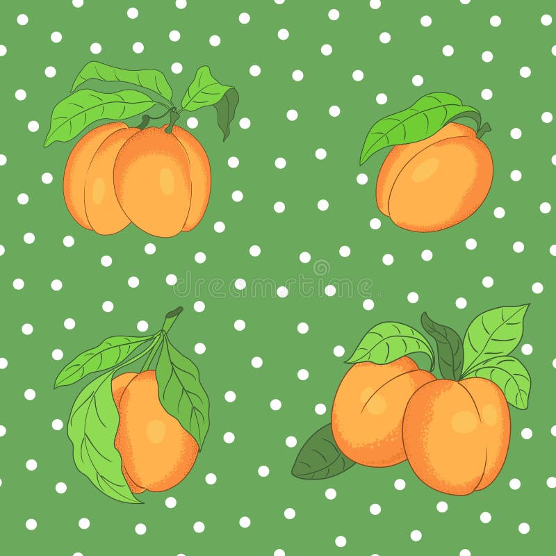 Seamless Pattern with Apricots Stock Vector - Illustration of elegant ...