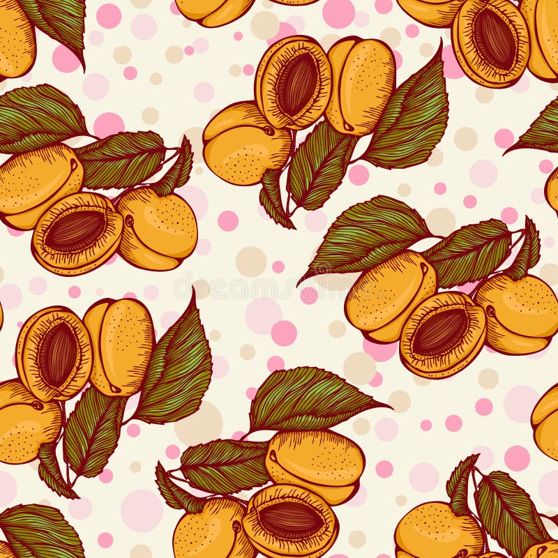 Seamless Pattern with Apricots Stock Illustration - Illustration of ...