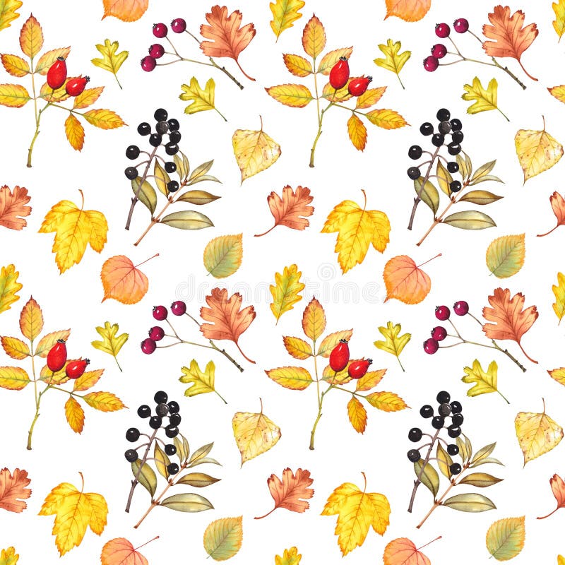Seamless Pattern with Autumn Leaves and Berries. Stock Photo - Image of ... Seamless Pattern with Autumn Leaves and Berries. Stock Photo - Image of ...