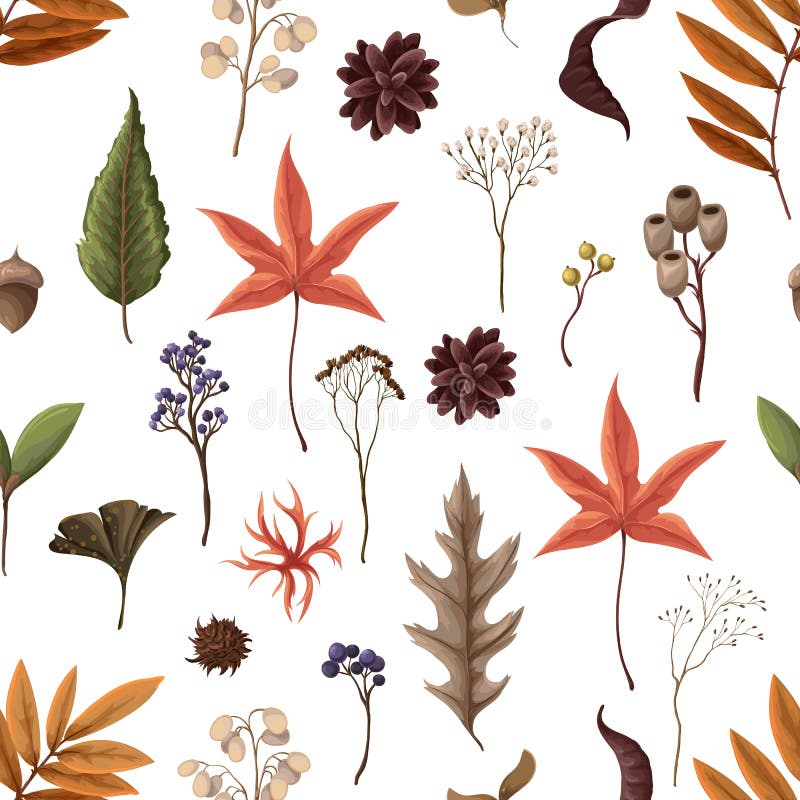 Seamless Pattern with Autumn Leaves and Dried Plants. Vector. Stock ...