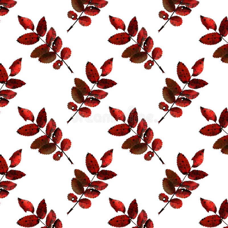 Seamless Pattern of Autumn Leaves. Print of Red Rosehip Leaves on a ...