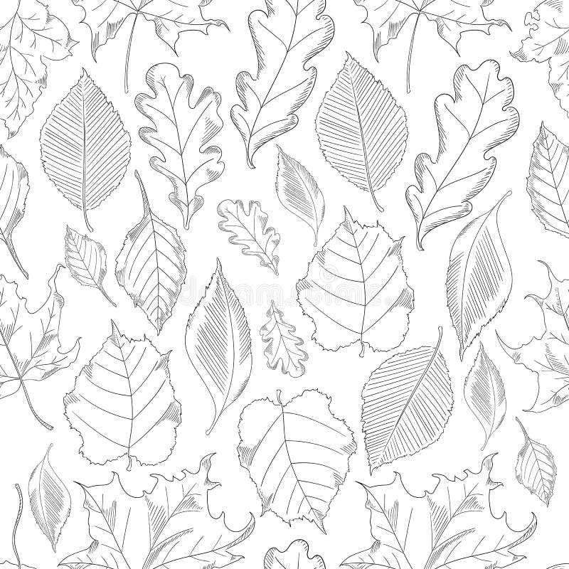 Autumn Leaves Set, Isolated on White Background. Simple Cartoon Flat ...
