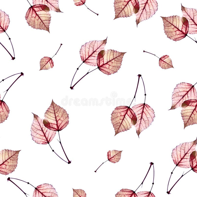 Seamless Pattern with Autumn Leaves Stock Image - Image of seamless ...