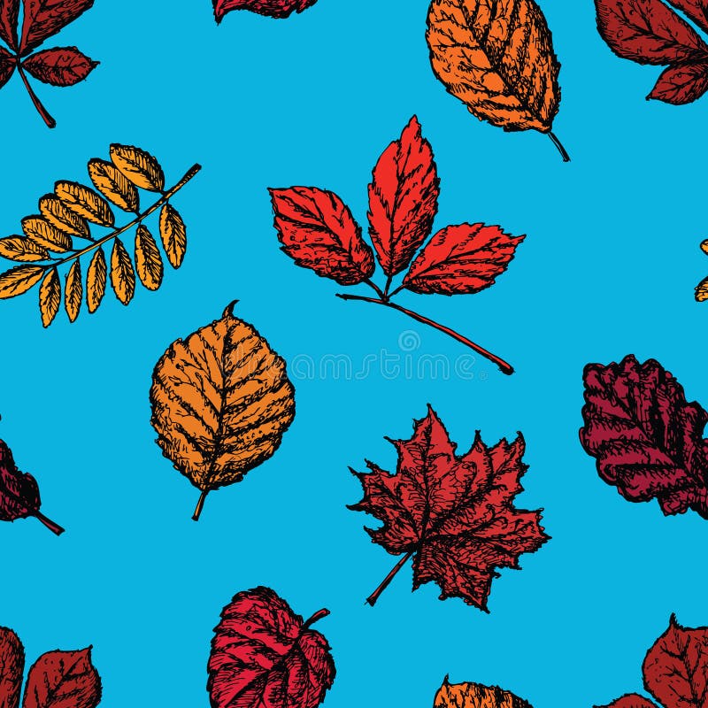 Seamless Pattern of Autumn Leaves Stock Vector - Illustration of ...