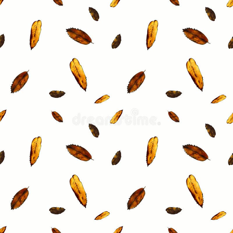Seamless Pattern with Autumn Leaves on White Background. Hand Draw ...