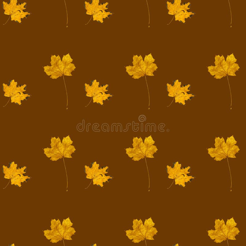 Seamless Pattern with Autumn Yellow Leaves on Brown Color Stock Photo ...
