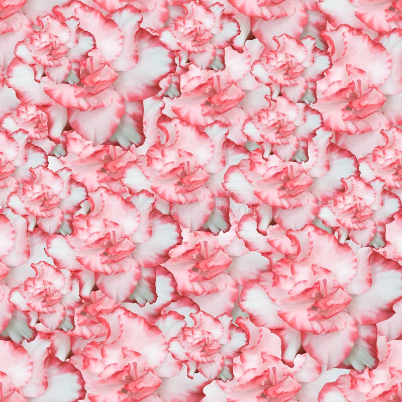 Seamless Pattern with Azalea Stock Photo - Image of background, bloom ...