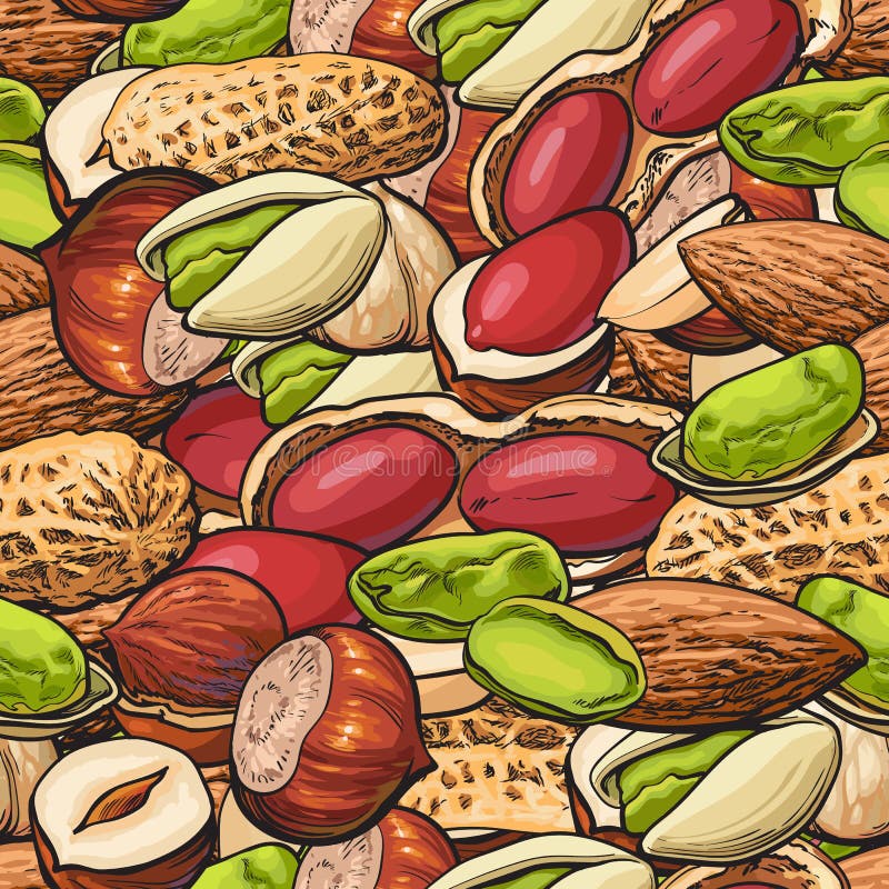 Mixed Nuts Seamless Line Banner - Colorful Nut Assortment in Hand Drawn ...