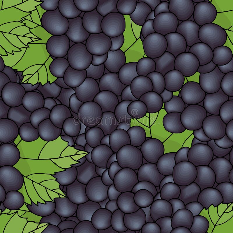 Seamless Pattern Background Grapes. Lots Of Black Grapes Vector. Stock ...