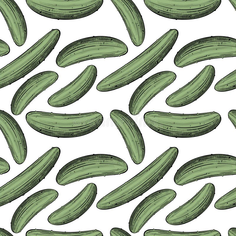 Green Cucumbers Label Packaging Design Templates, Hand Drawn Vector ...