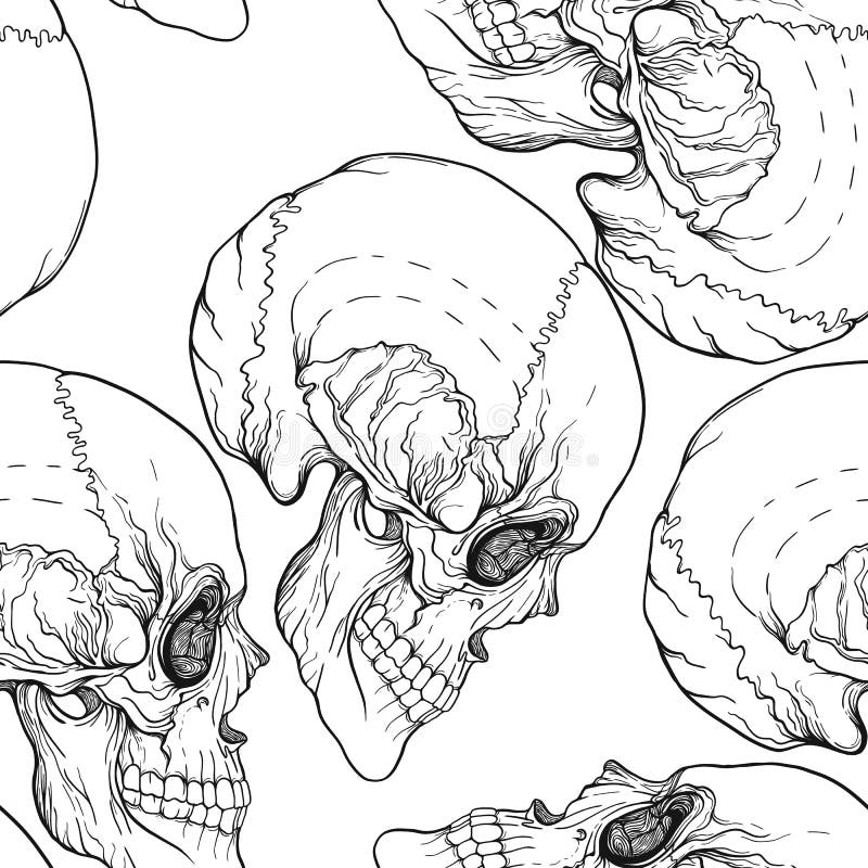 Seamless Pattern, Background with Skull . Outline Drawing. Stock Vector ...