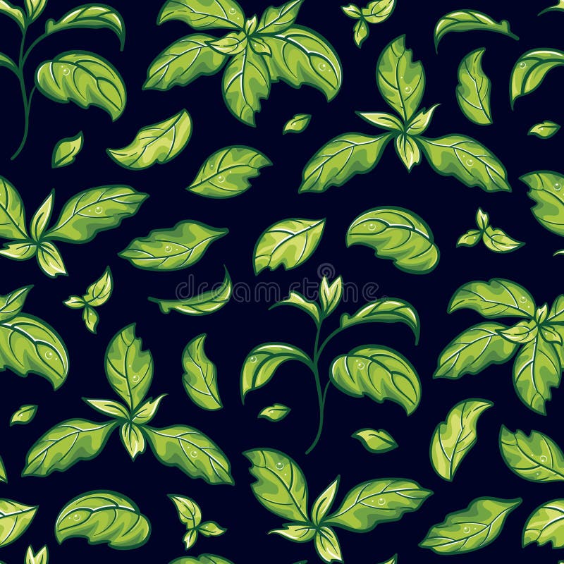 Seamless Pattern of Basil Leaves. this Botanical Artwork Features ...