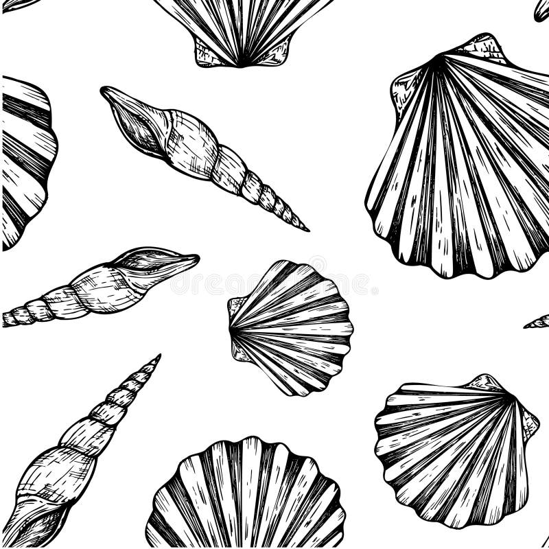 Seamless Pattern with Beautiful Shells. Hand Painted Line Seashell ...