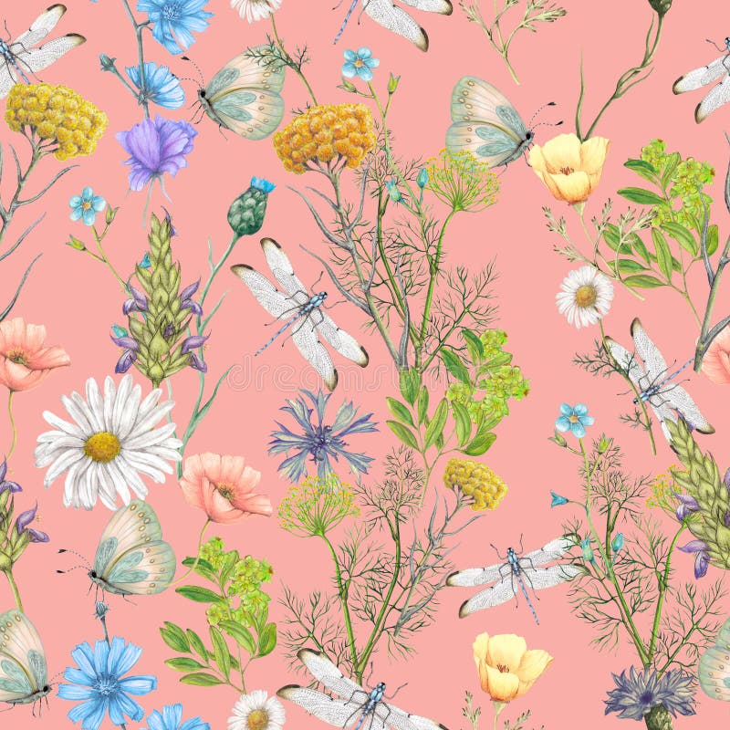 Seamless Pattern of Summer Wildflowers Stock Illustration ...