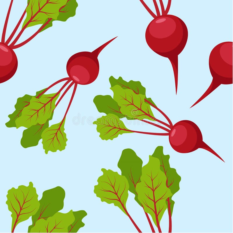 Seamless Pattern with a Beets Stock Vector - Illustration of silhouette ...