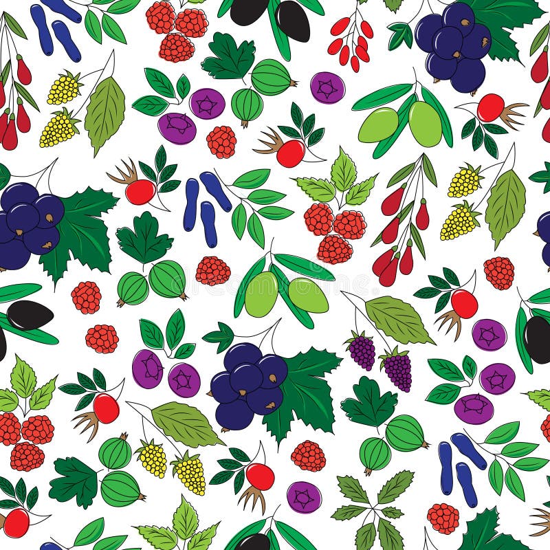 Seamless Pattern with Berries Colorful Stock Vector - Illustration of ...