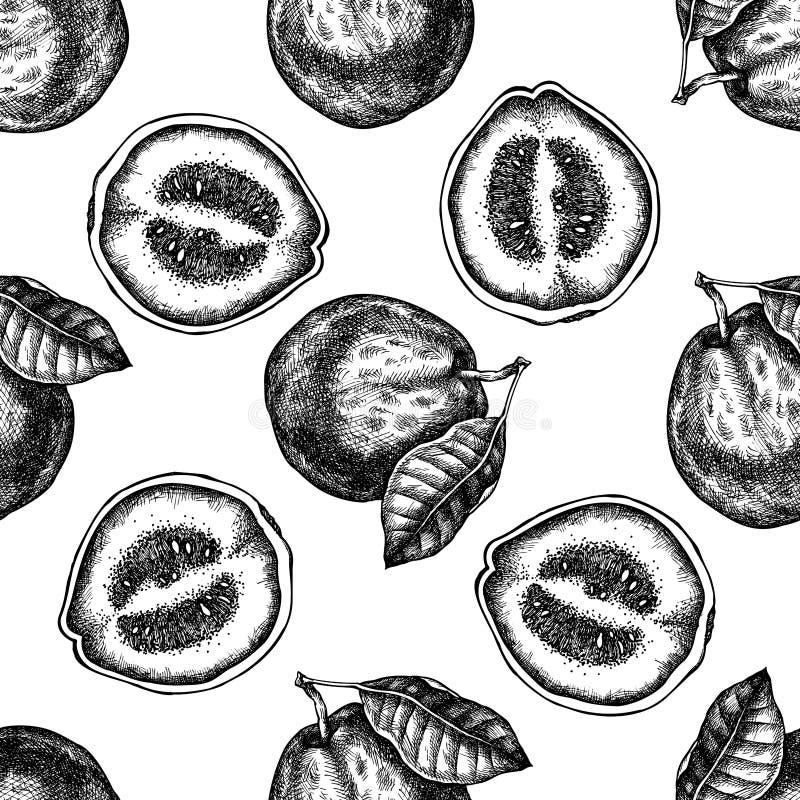 Seamless Pattern with Black and White Guava Stock Vector - Illustration ...