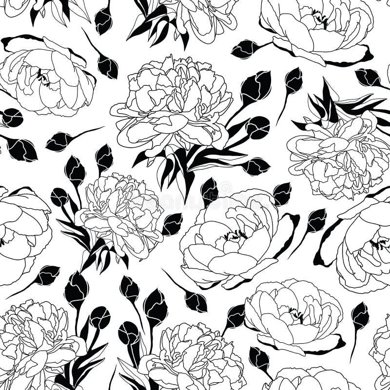 Seamless Pattern Black and White Peony Flowers Illustration Stock ...