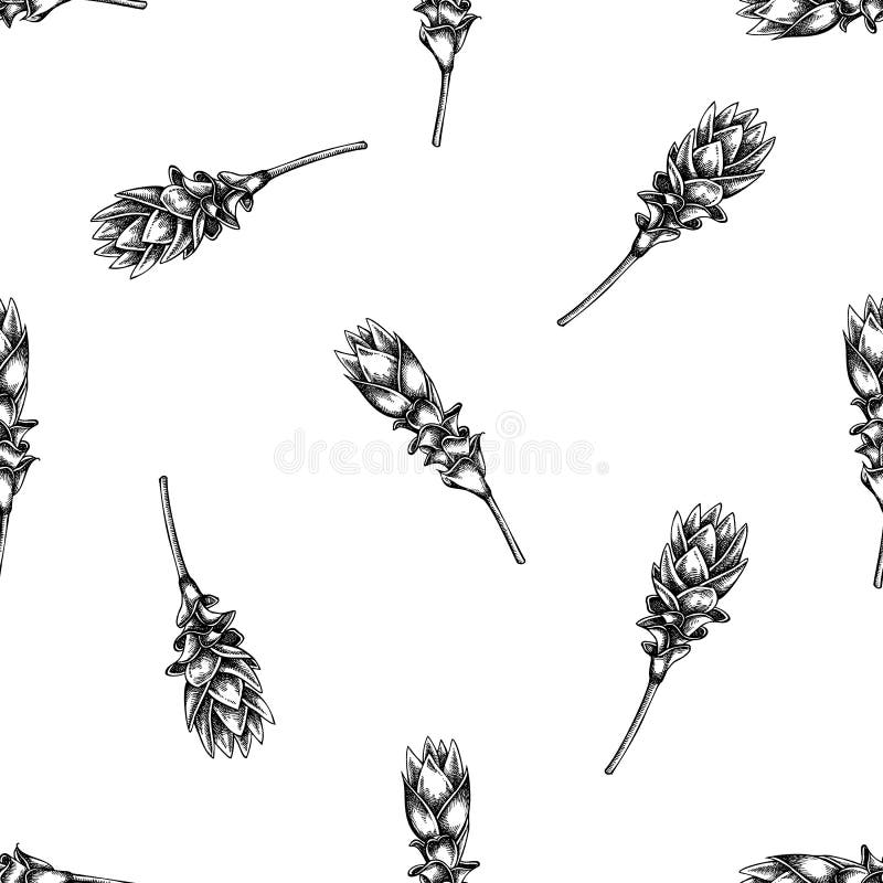 Seamless Pattern with Black and White Turmeric Stock Vector ...