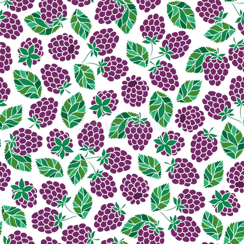 Seamless Pattern of Blackberry Stock Vector - Illustration of hand ...