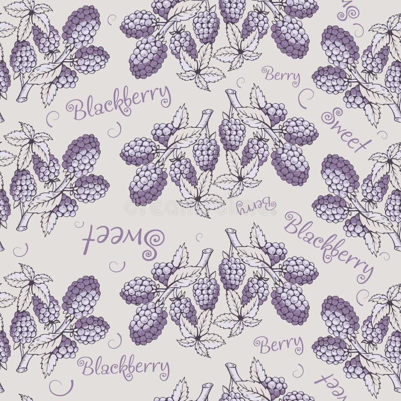 Seamless Pattern of Blackberry with Branch and Leaves Stock Vector ...