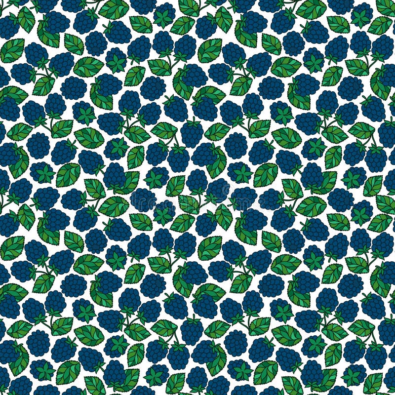 Seamless Pattern of Blackberry Stock Illustration - Illustration of ...
