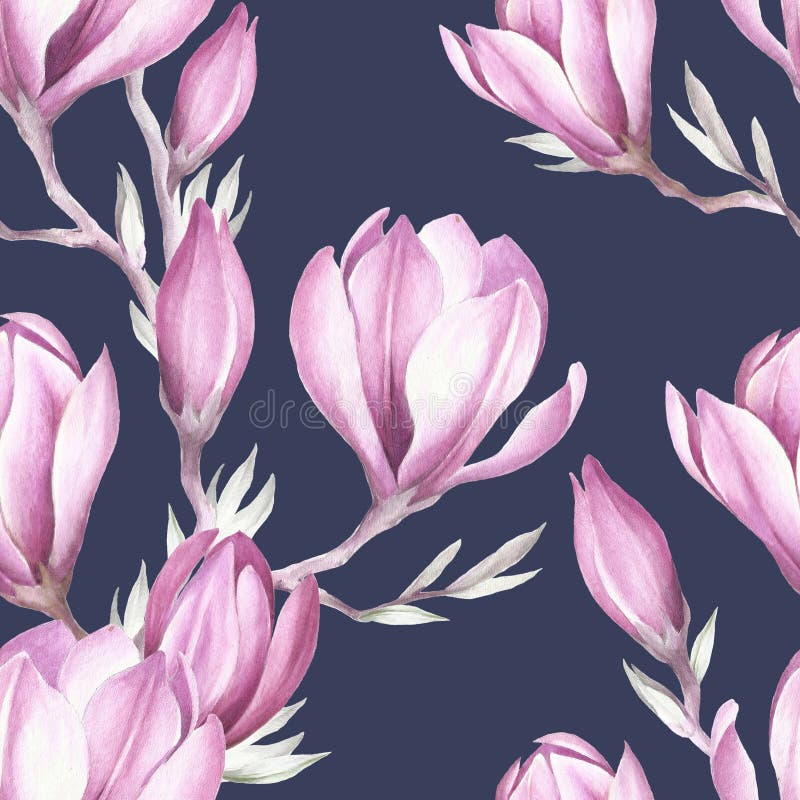 Watercolor Magnolia Flower Seamless Pattern. Stock Illustration ...
