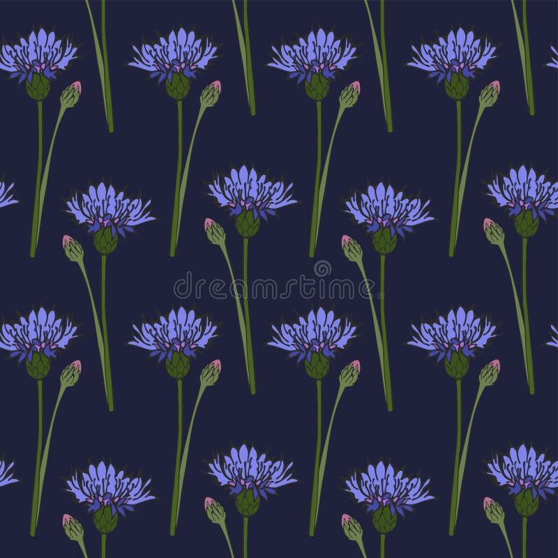 Seamless Pattern Blue Cornflower Stock Vector - Illustration of drawing, botanical: 129373882