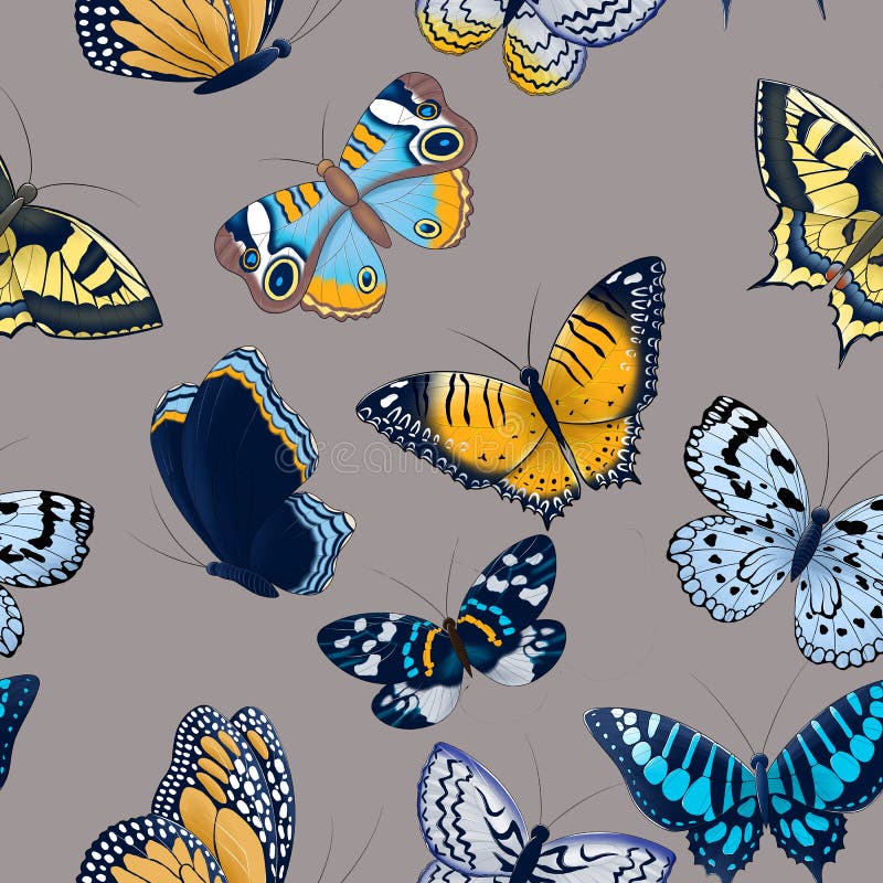 Seamless Pattern of Blue, Gray, Orange, Brown Butterflies Set Isolated ...