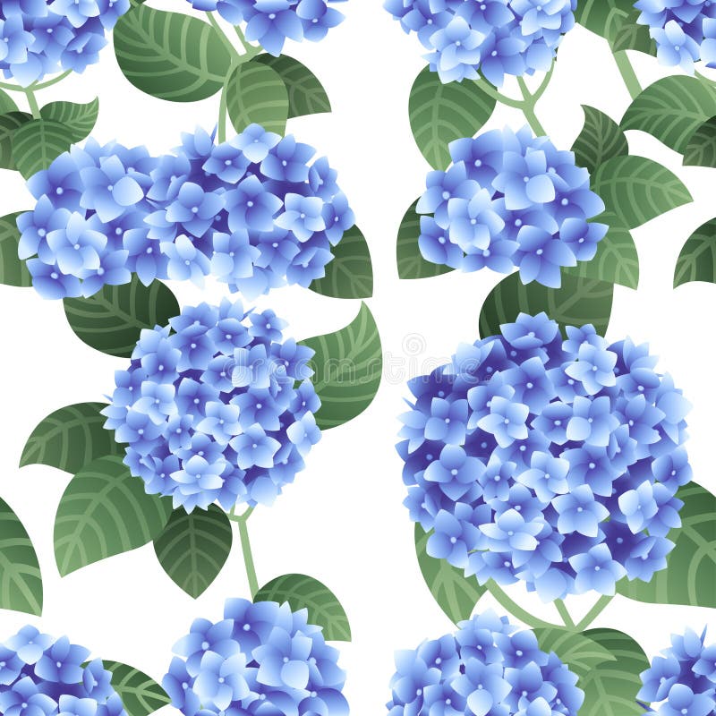 Hydrangea Flowers Vector Seamless Pattern Stock Vector - Illustration ...