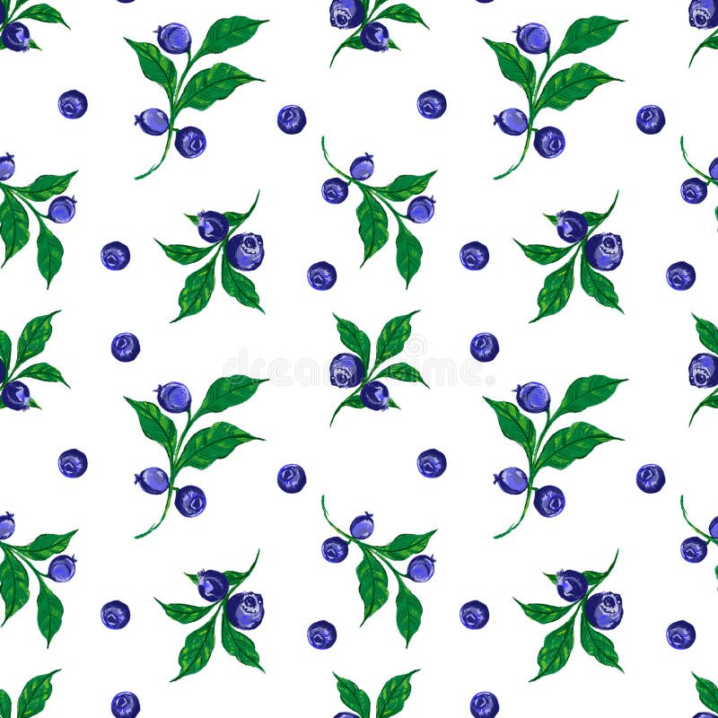 Seamless Pattern with Blueberry Graphics. Background with Round ...