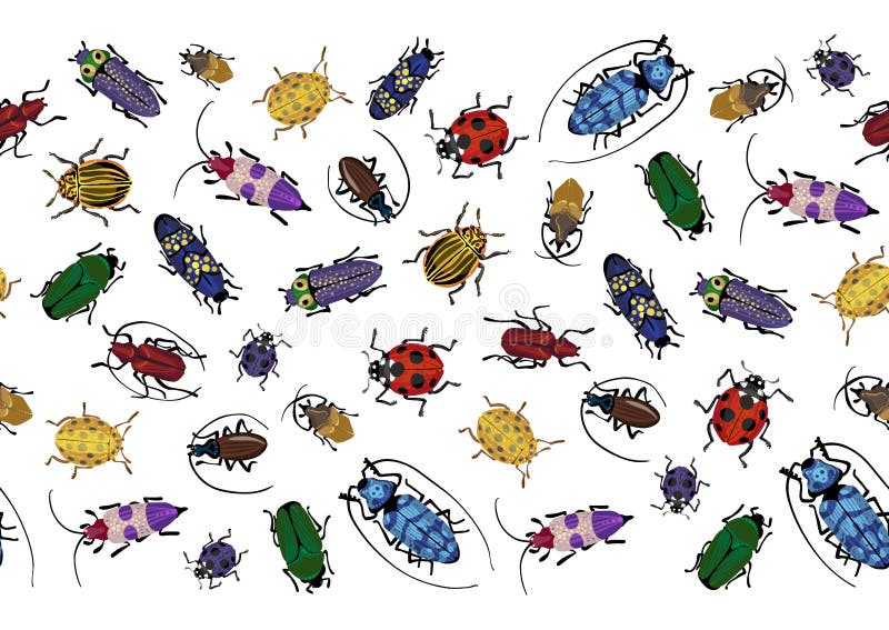 Seamless Pattern, Border with Colorful Bugs. Bright Handdrawing of ...