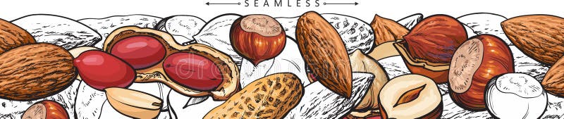 Peanut Border Stock Illustrations – 285 Peanut Border Stock ...