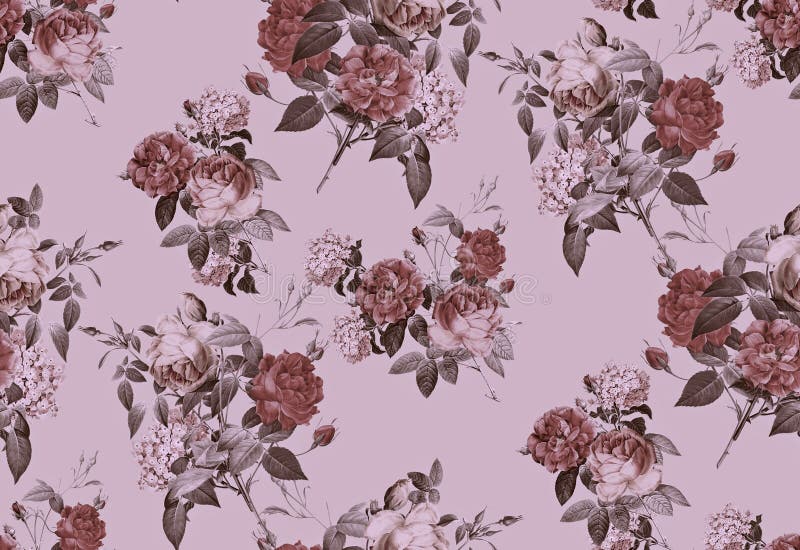Seamless Pattern of Botanical Rose Flowers on a Pink Background. Stock ...