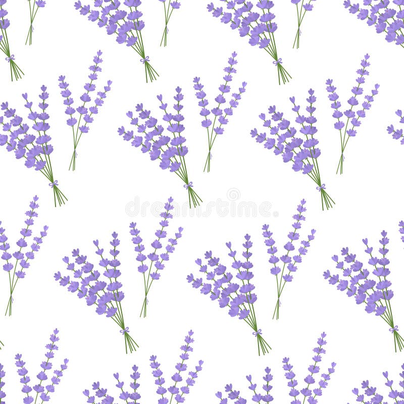 Seamless Pattern Bouquets Lavender Flowers Vector Illustration ...