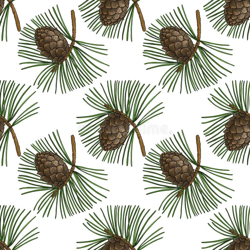 Seamless Pattern with Branch of Cedar Stock Illustration - Illustration ...