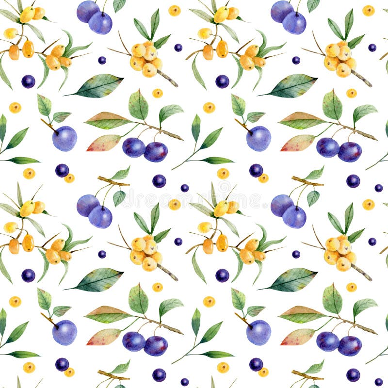 Sloe Berry Stock Illustrations – 84 Sloe Berry Stock Illustrations ...